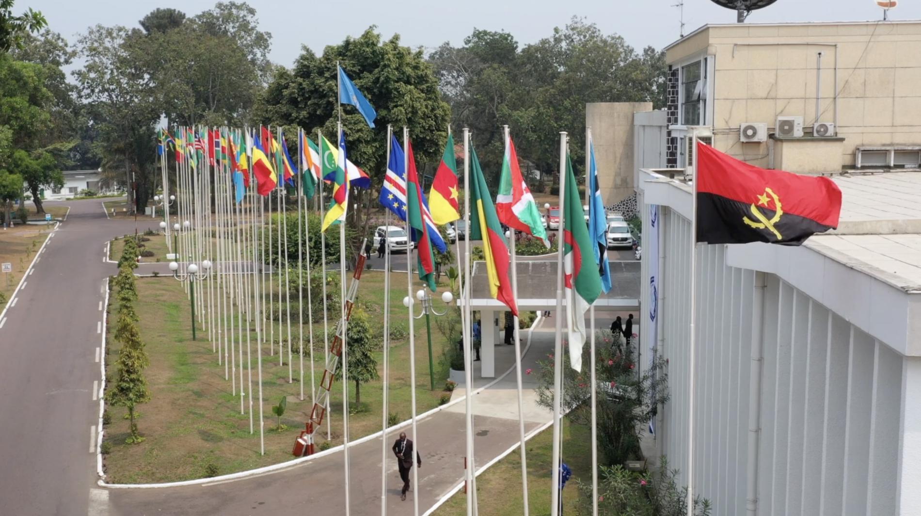 Election of new WHO Regional Director for Africa: candidates’ forum ... Election of new WHO Regional Director for Africa: candidates’ forum ...